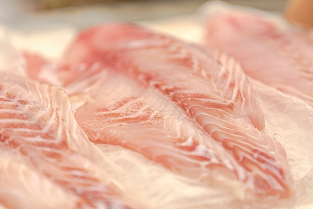 Buy Australian Yellowtail Kingfish Fish Fillets Boneless Skin-On (2 x ...